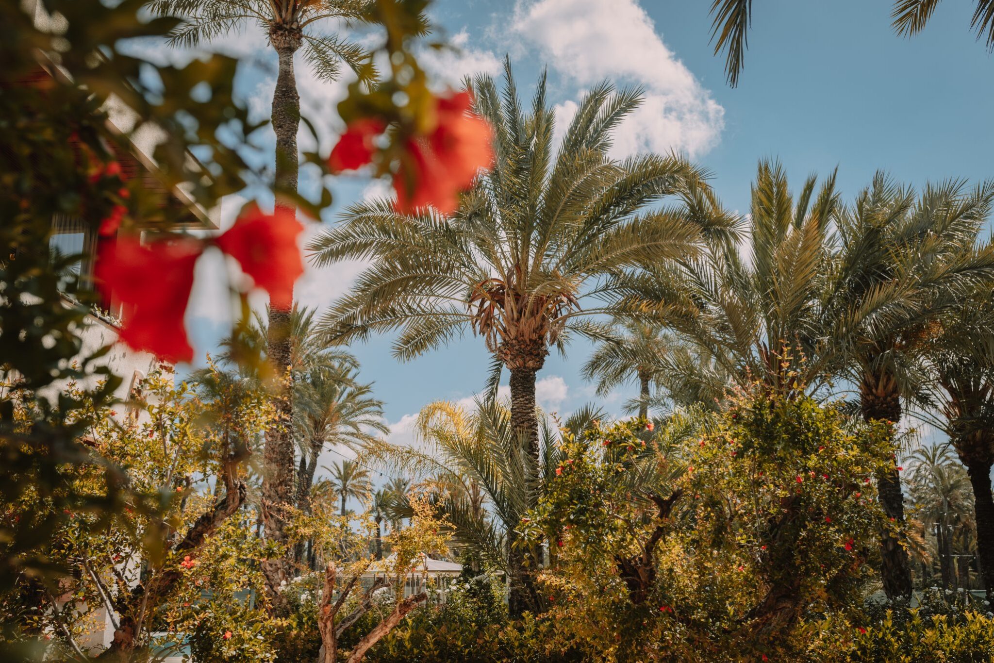 Finca Hort De Nal, el lugar perfecto para disfrutar del antes y después ...